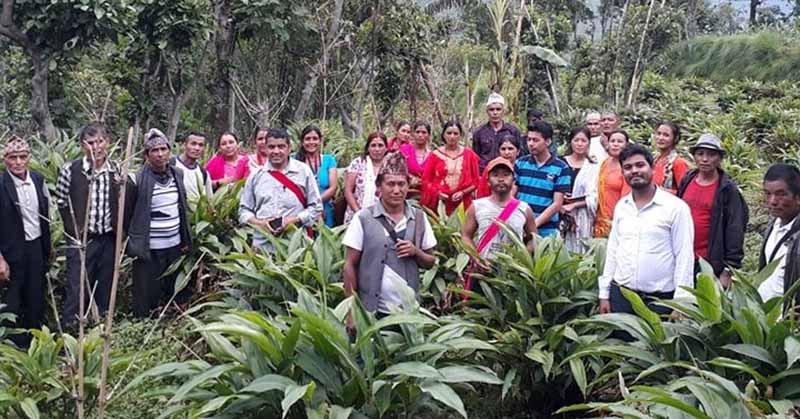 19 | June | 2019 | नयाँ विश्व